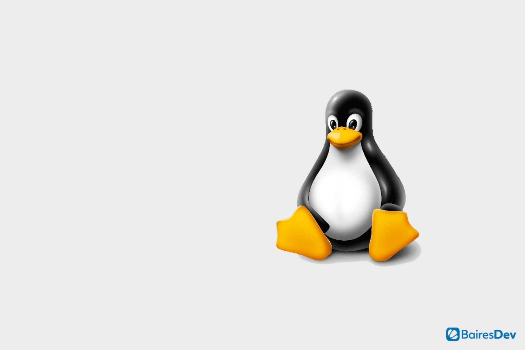Why Your Developers Need to Know Linux