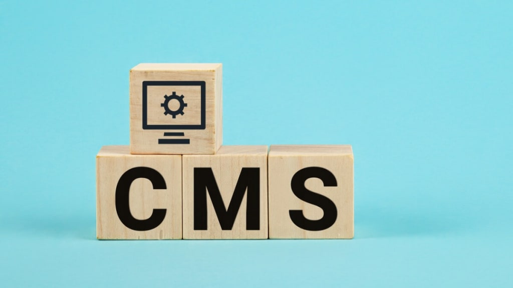 Types of CMS: Know Which Is For Your Company