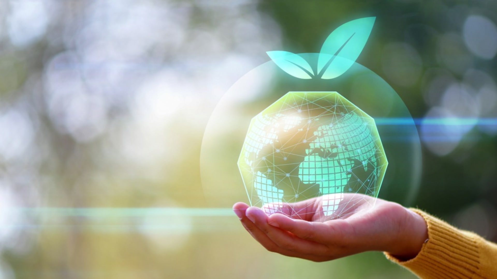 No Longer Hidden in the Cloud: The Push for Sustainable Technology