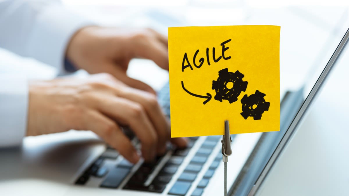 What Does Agile Look Like in the Real World?