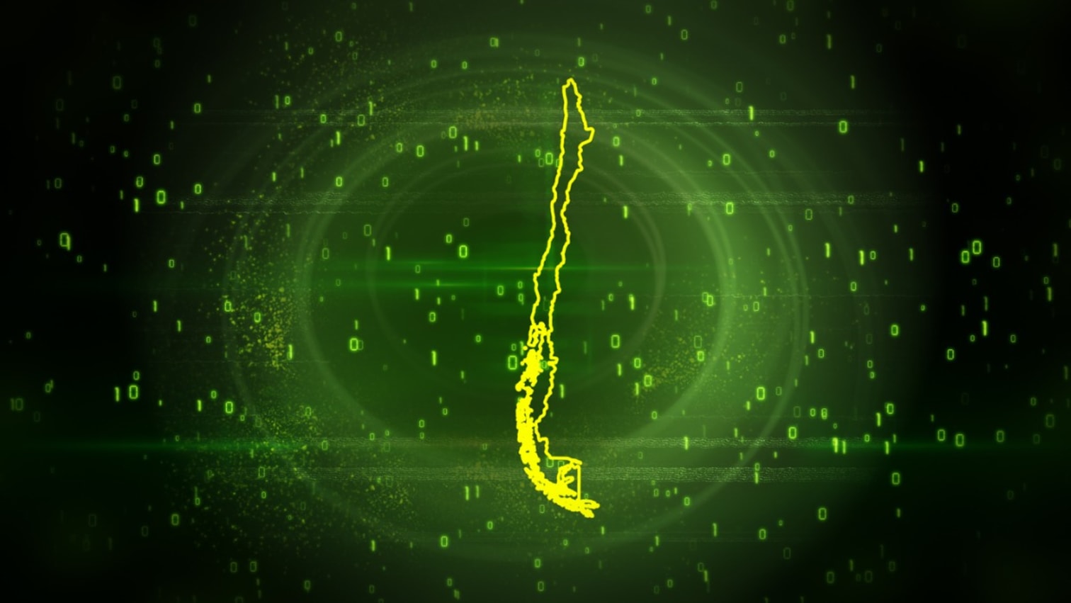 What is PHP Used For? PHP Uses and Applications